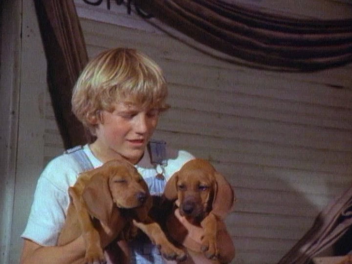 Cosa 11 film di Hollywood e i mormoni hanno in comune